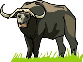 ESL Kids Farm Animals Vocabulary