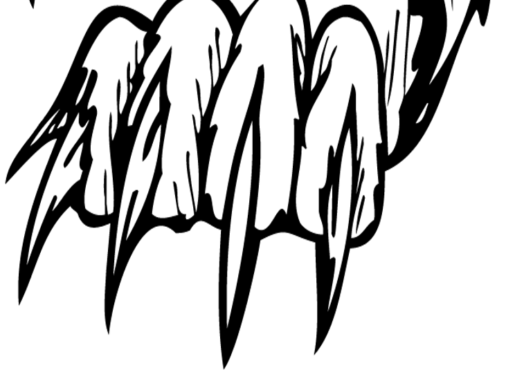 ESL Kids Pets Things Vocabulary